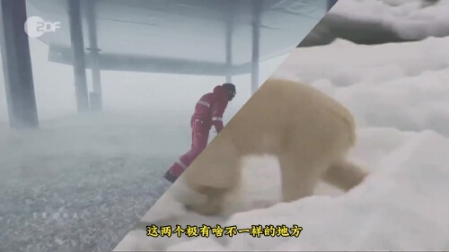 南极和北极都是极,为啥温度环境相差如此之大? 南极、北极都是