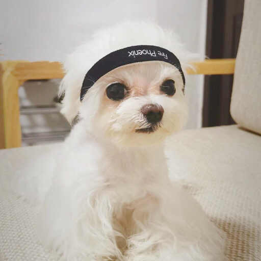 小邹剪辑 