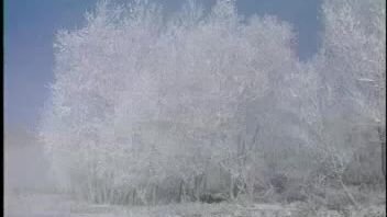 高中化学实验——晶体