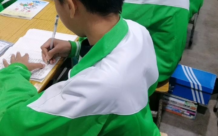 广东叛逆孩子学校,广东叛逆少年学校,广东问题少年学校,清远麦田教育