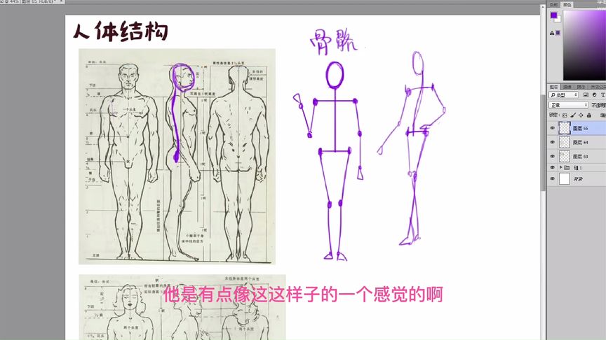 PS画画之人体结构讲解