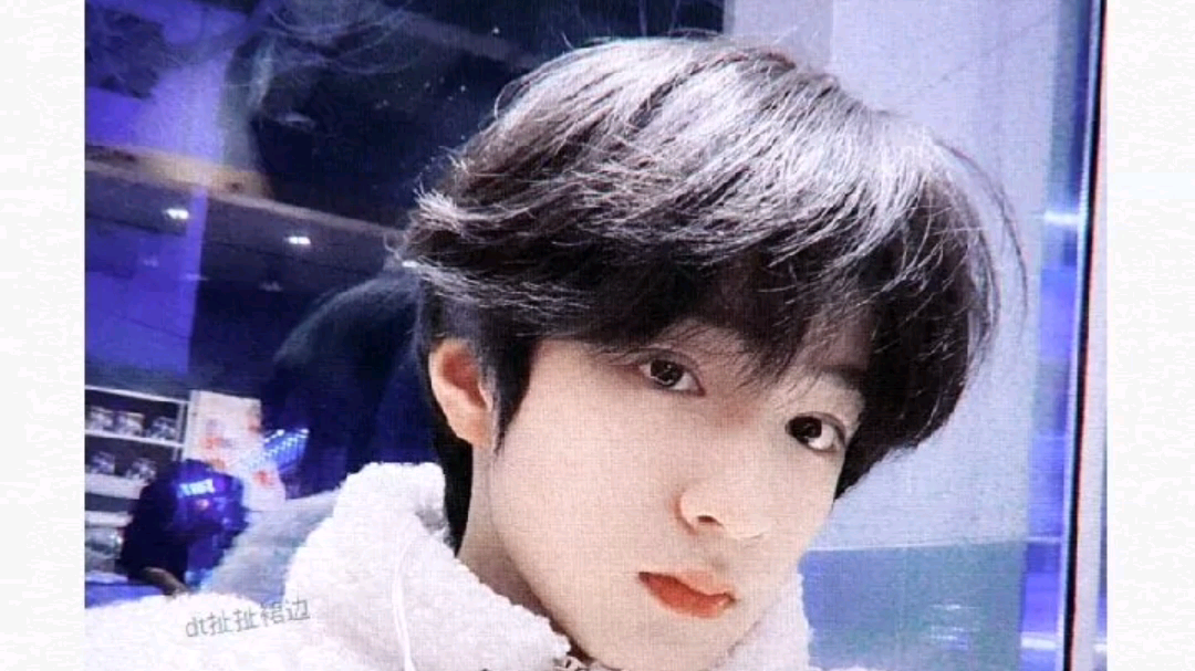 TNT语录TF家族语录