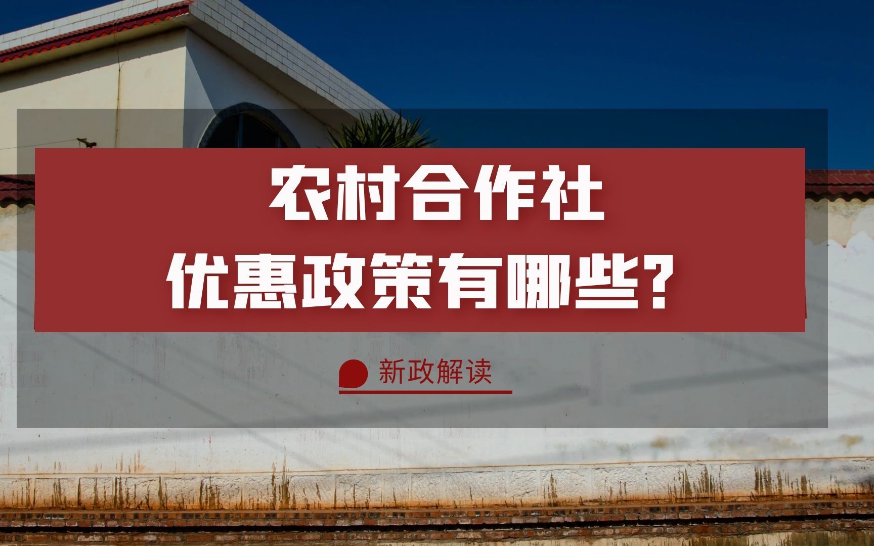 农村合作社优惠政策有哪些?