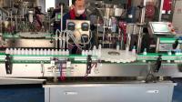 免洗手凝胶消毒剂灌装旋盖生产线 洗手液灌装机 流水线 84消毒液灌装机