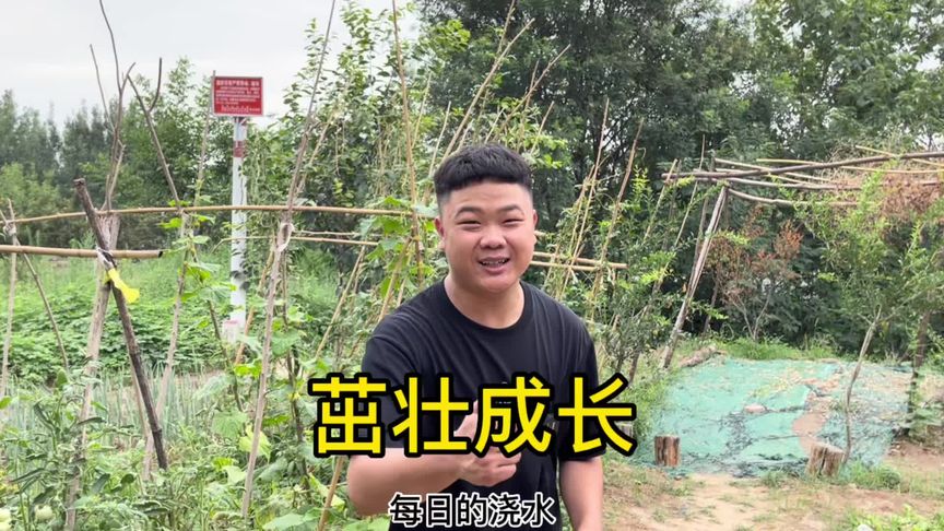 经过了三年的努力,树苗也成为大树,跟我们一起茁壮成长