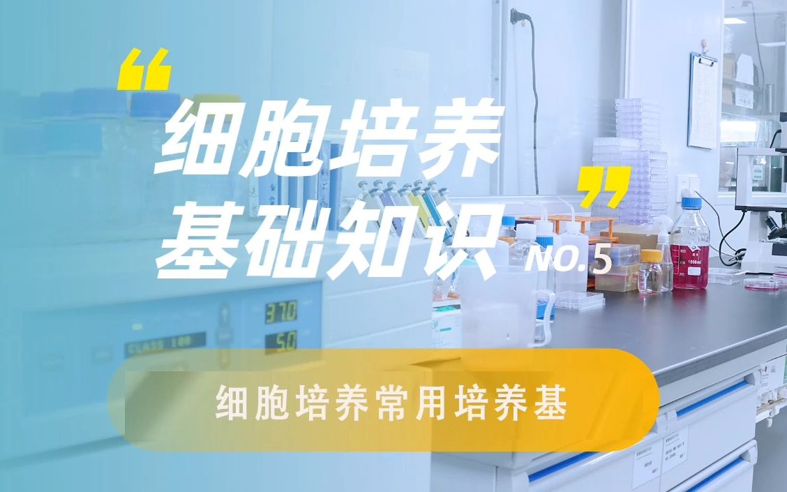 细胞培养步骤-细胞培养常用培养基有哪些,怎么选择适合的