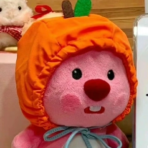 转转数据服务 