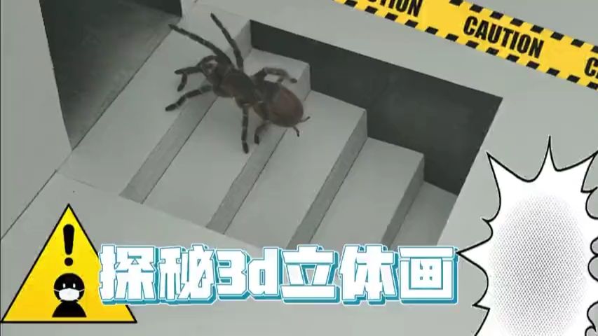 第一次学画3d立体画效果逼真  再配个宠物蜘蛛两者完美结合很有趣