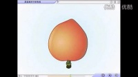果实种子的形成
