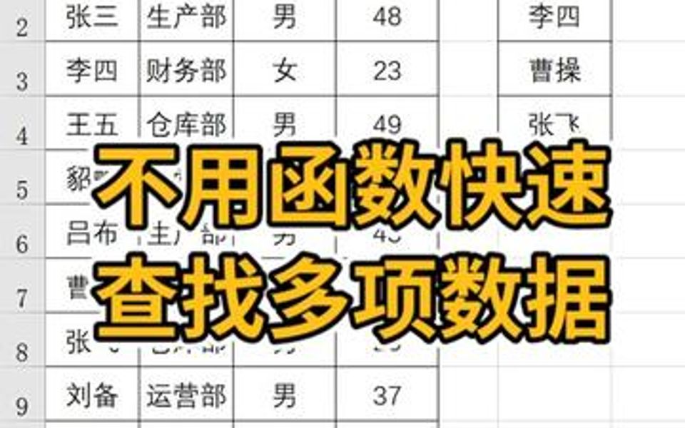 不用函数快速查找多项数据