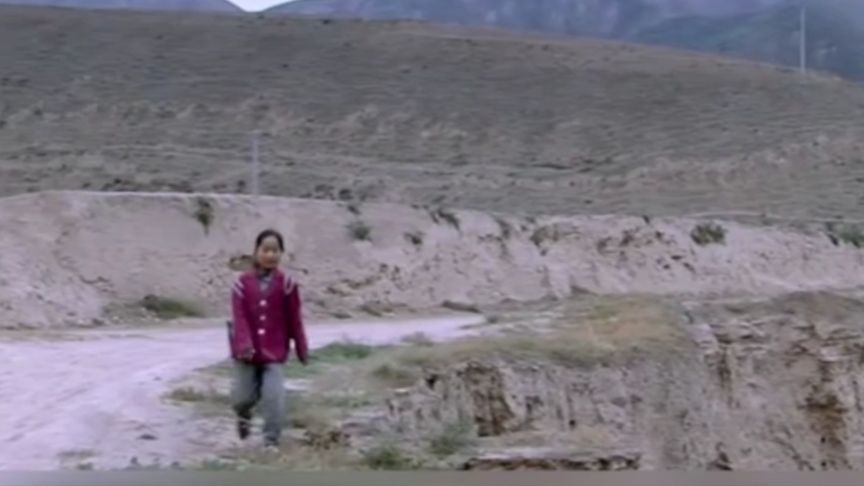 纪录片:三个农村孩子不同的命运,呼吁社会齐抓共管脱贪致富。