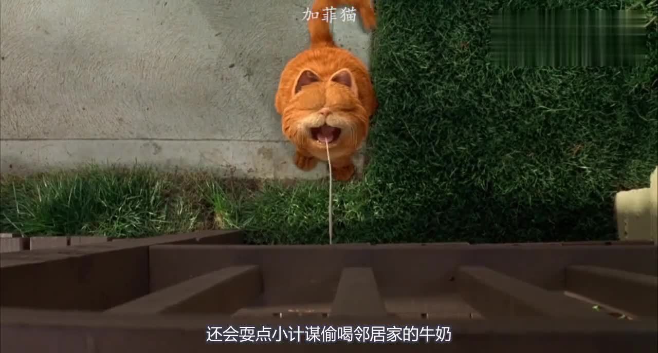 加菲猫因为嫉妒狗狗受宠,耍心机让他走丢,最后却成为好朋友