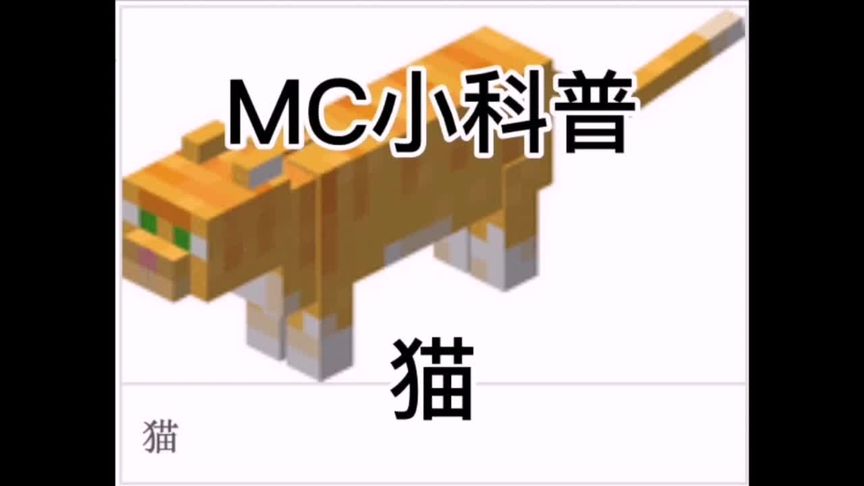 #我的世界 猫的介绍