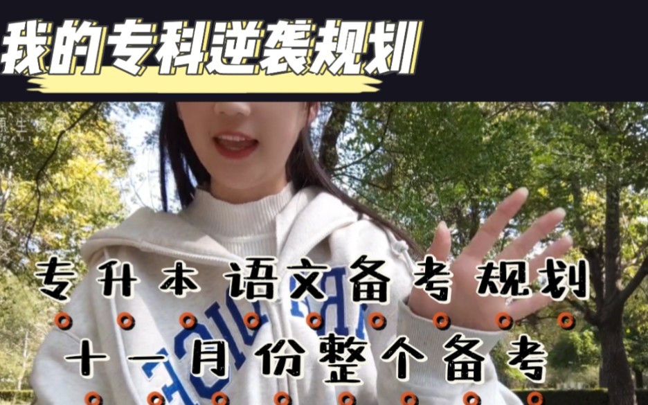 这份专升本备考规划可够详细了叭⭐️⭐️快点收好✨✨