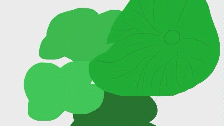 莲花的画法