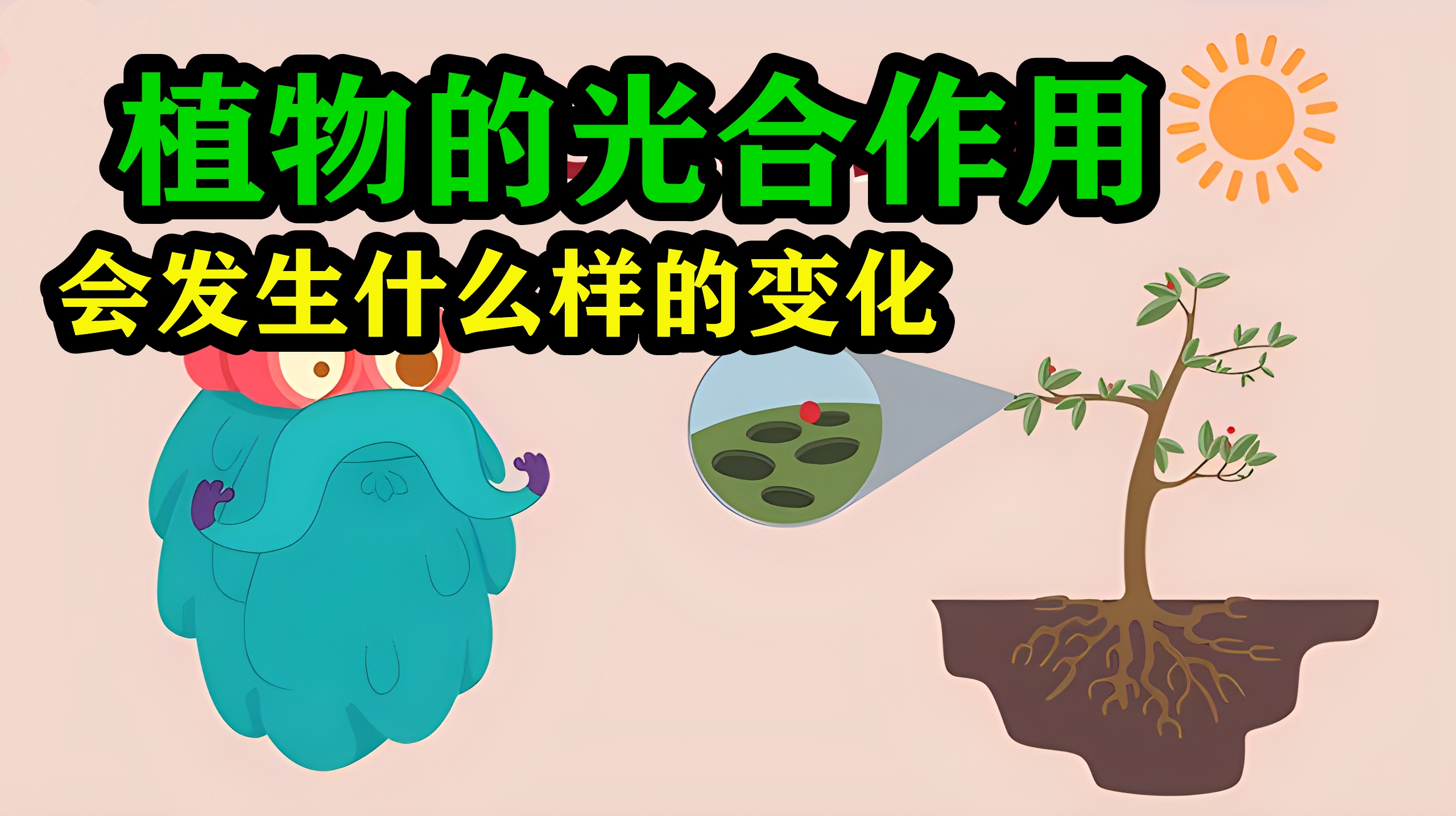 你知道氧气是怎么来的吗?绿色植物就是个加工厂,在进行光合作用