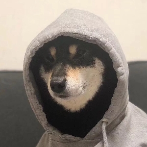 抓你去打灰 