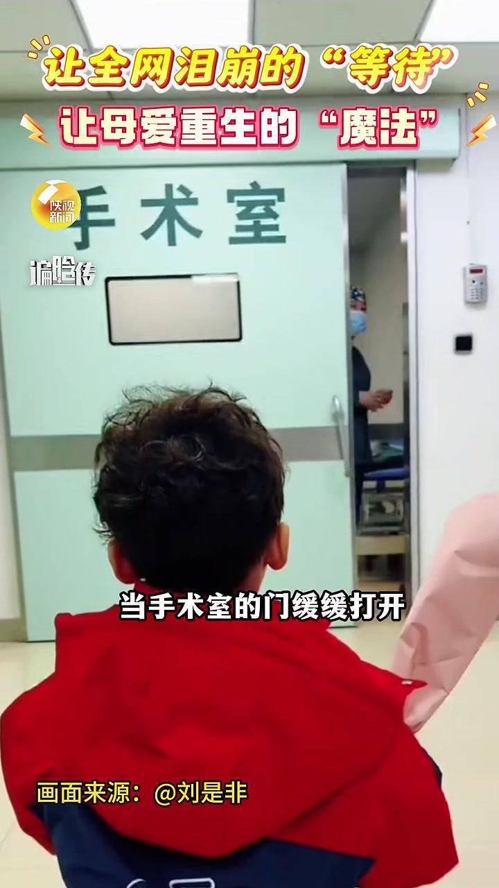 ...她是星星,是晨光,是树叶,是国旗…她只是换了种方式,永远爱你,守护你。