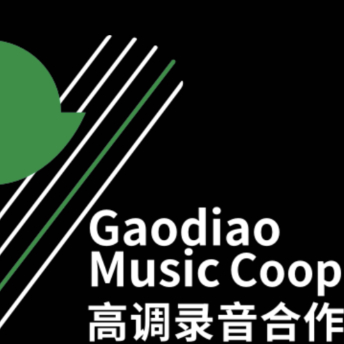 高调文化传媒 