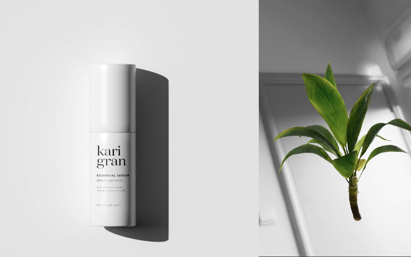 RS白色产品白底图渲染速成+RS贴图节点颜色模式+树叶渲染