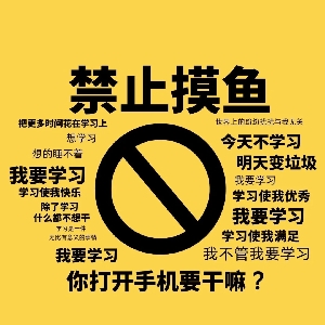 禁止学习摸鱼 