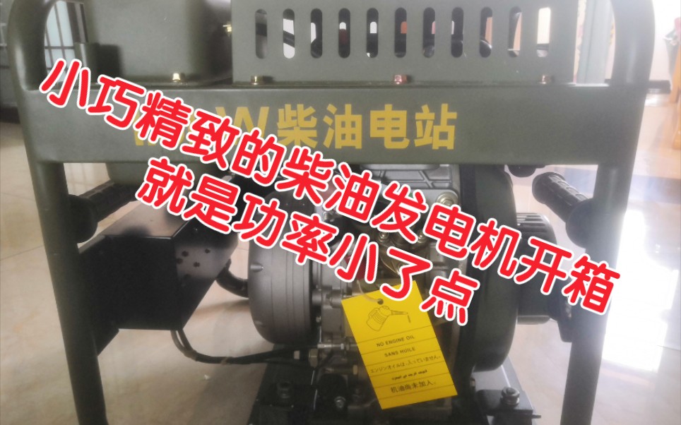 小巧精致的柴油发电机,就是功率小了点。