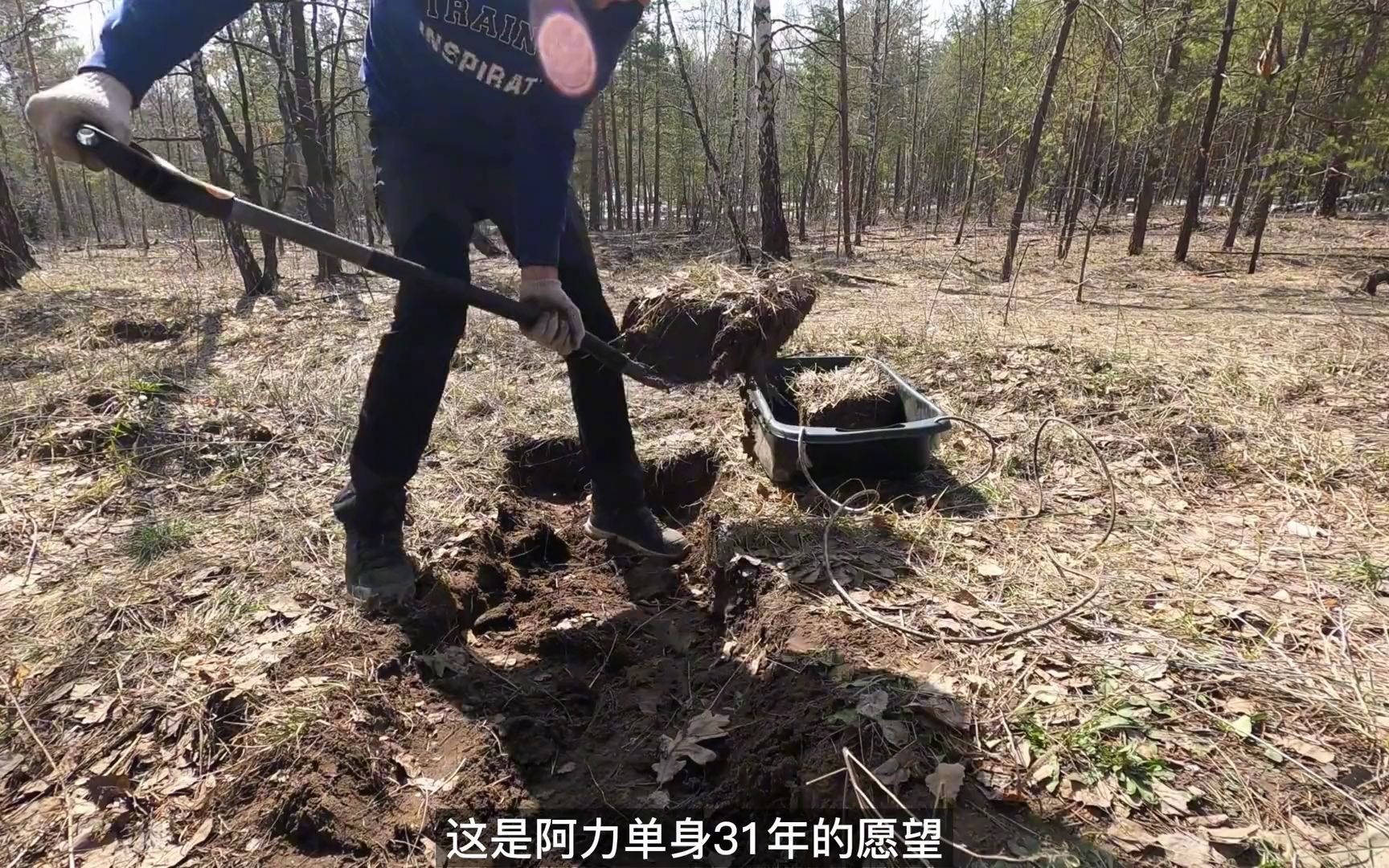 春回大地,小伙子想给头上来点绿