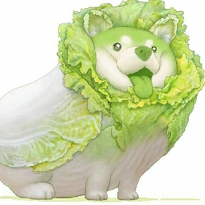 一只菜狗的游戏日常 