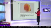 中国15岁高中生在琥珀内发现恐龙时代甲虫!专家分析:全新物种