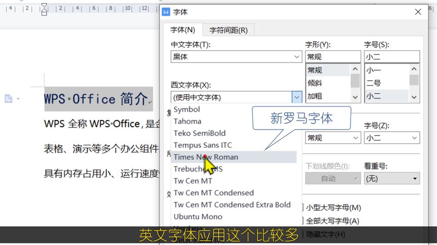 2-5节 | WPS文字文档关于字体格式设置常规格式的设置