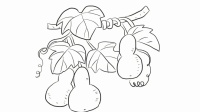 藤蔓上的葫芦幼儿亲子简笔画 宝宝轻松学画画