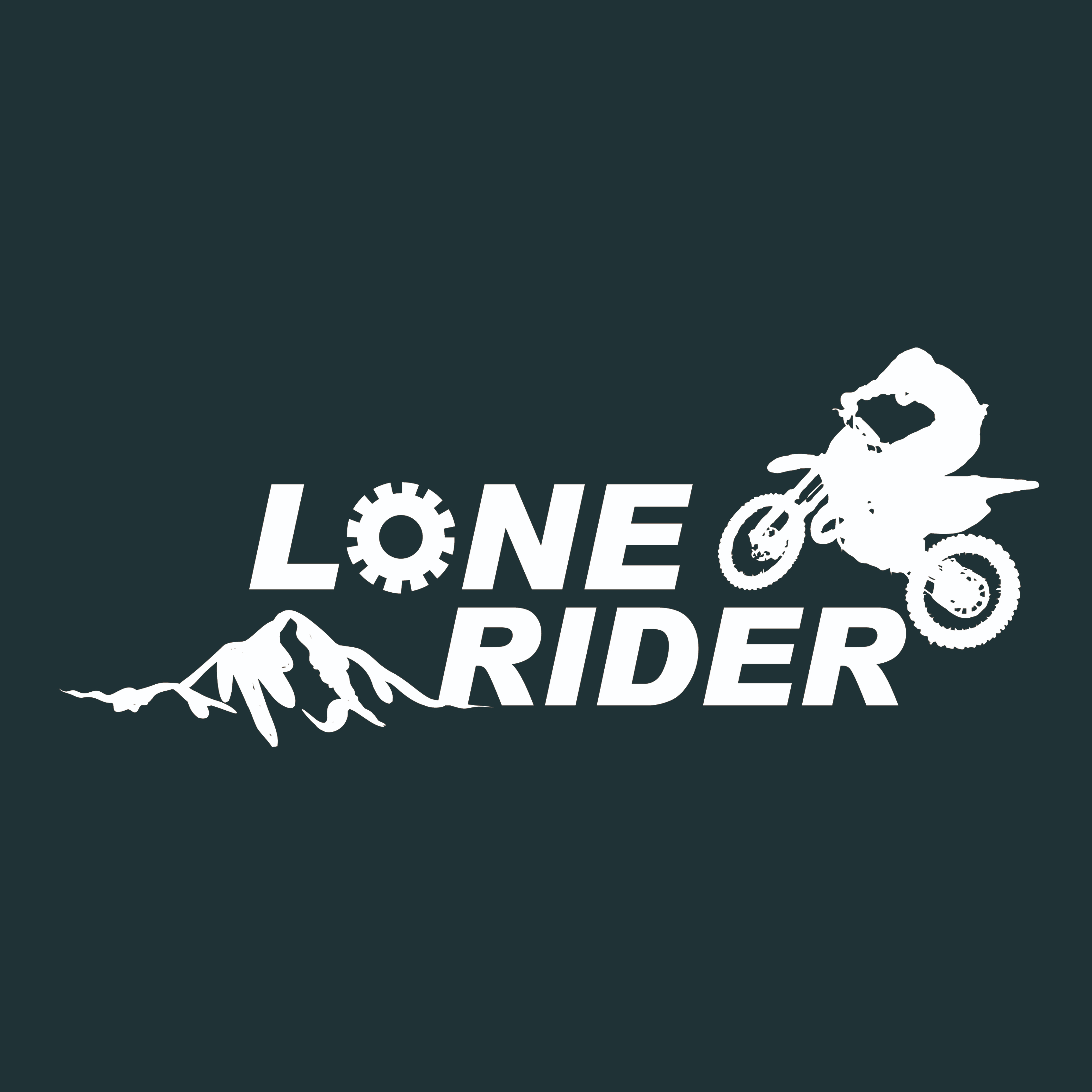 LoneRiderD 