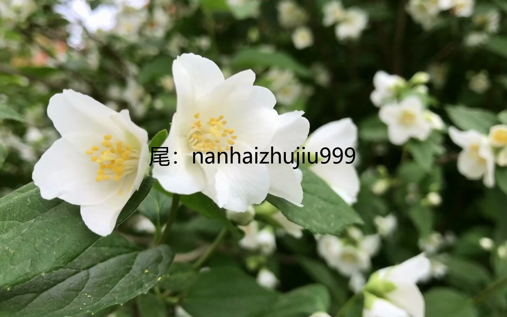 从头到尾带打kaggle比赛百度云盘资源免费下载