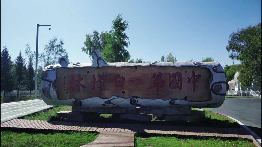 新疆哈巴河白桦林一日游!