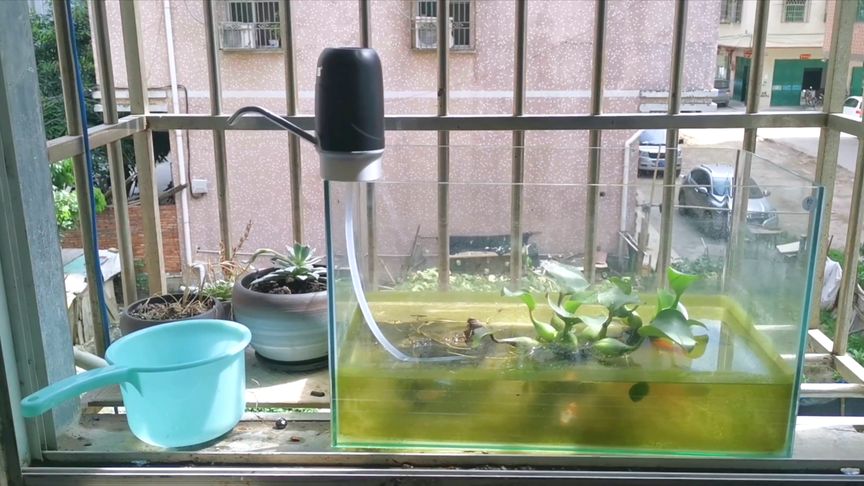 网购抽水神器，鱼缸换水在也不用愁了。