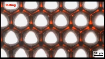 哈佛大学Nature正刊中国青年学者详解“魔法”数秒实现材料微结构...