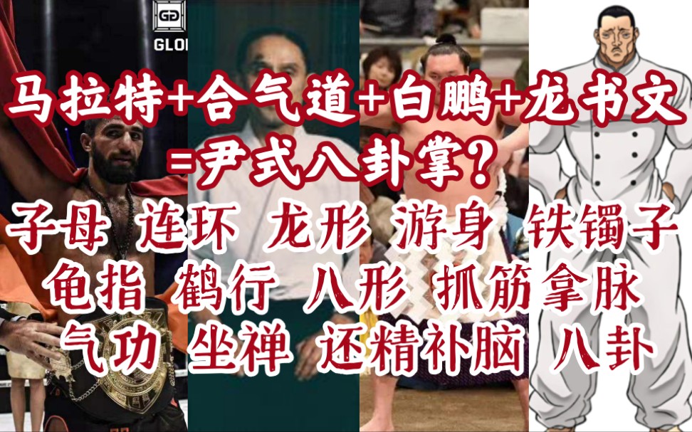 ★尹式八卦掌十三大极意首度解密★立足于人民工业革命的生物算法