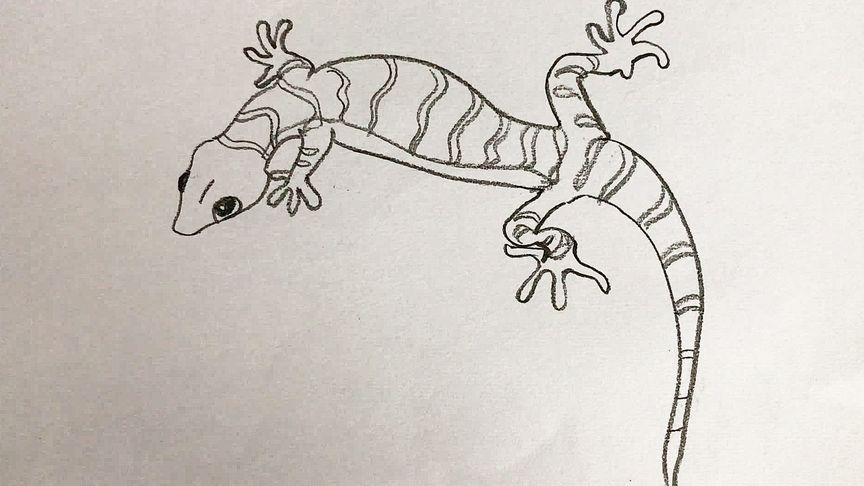 简笔铅笔画壁虎,四肢爬行动物,宝妈育儿绘画1分钟学会