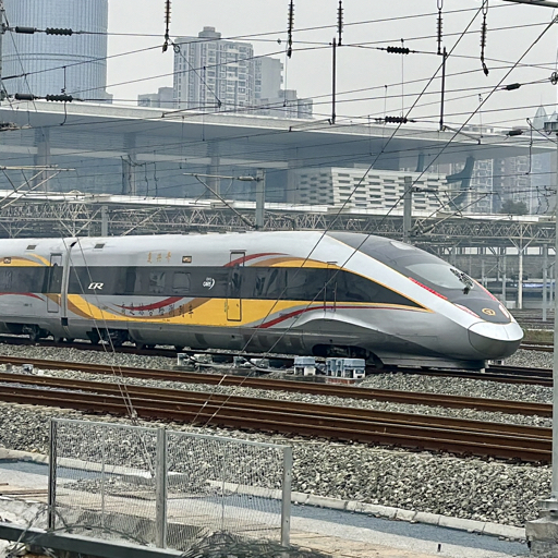xiao_yong_ 