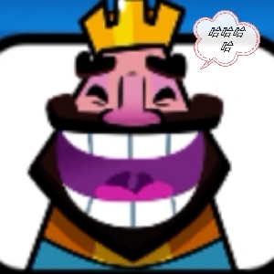 嘿嘿哈哈的国王 