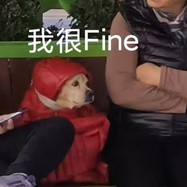 上官宫宁 