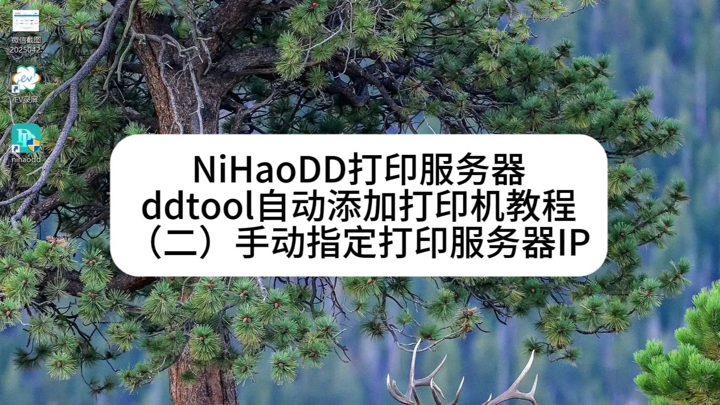 ...打印服务器ddtool工具自动添加网络打印机教程(二)手动指定打印IP地址