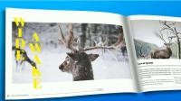 AE模板-Book and Magazine ToolKit