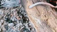 碳加氧气产生的一氧化碳,大哥做个实验给大家看,不知道成不成功!