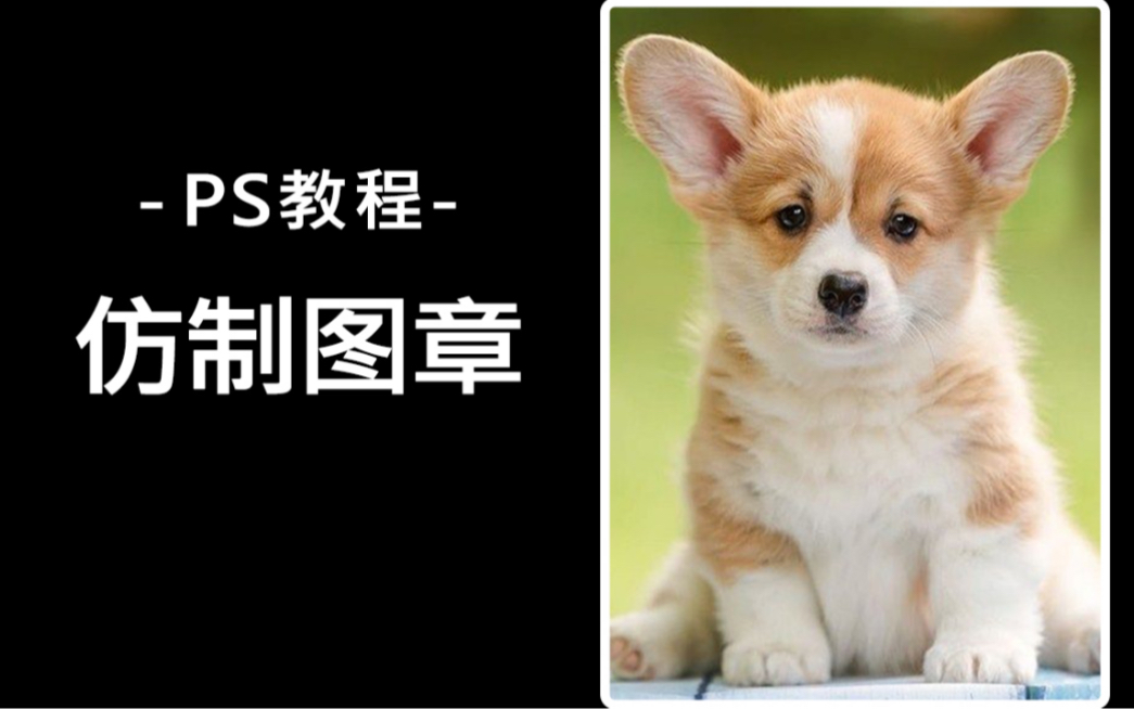 PS仿制图章你真的会用吗?