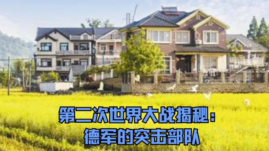 第二次世界大战揭秘:德军的突击部队