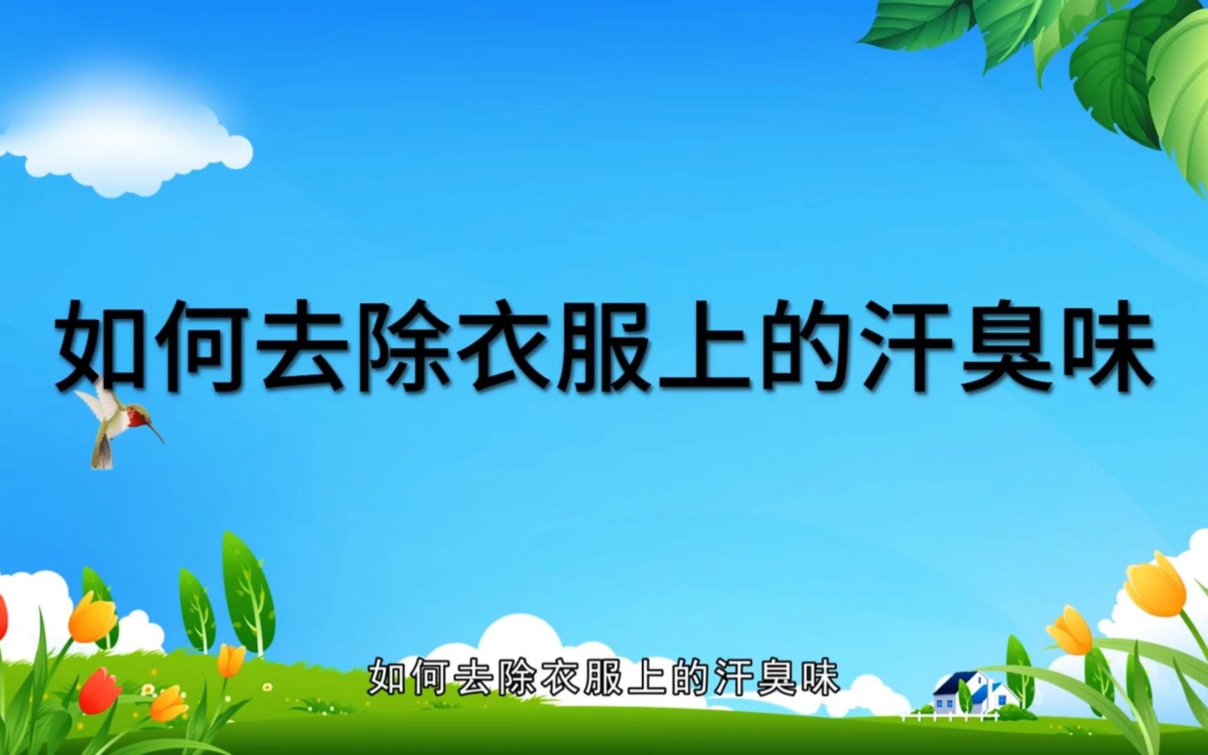 如何去除衣服上的汗臭味