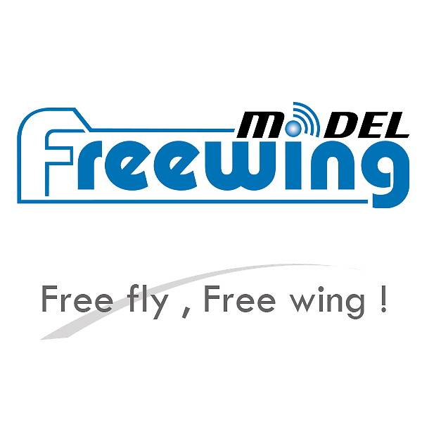 飞翼模型 