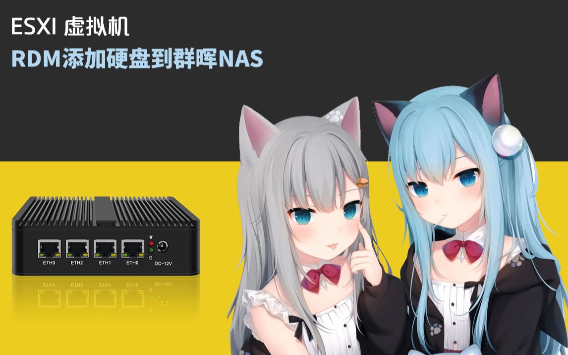 ESXI RDM硬盘直通添加到群晖NAS