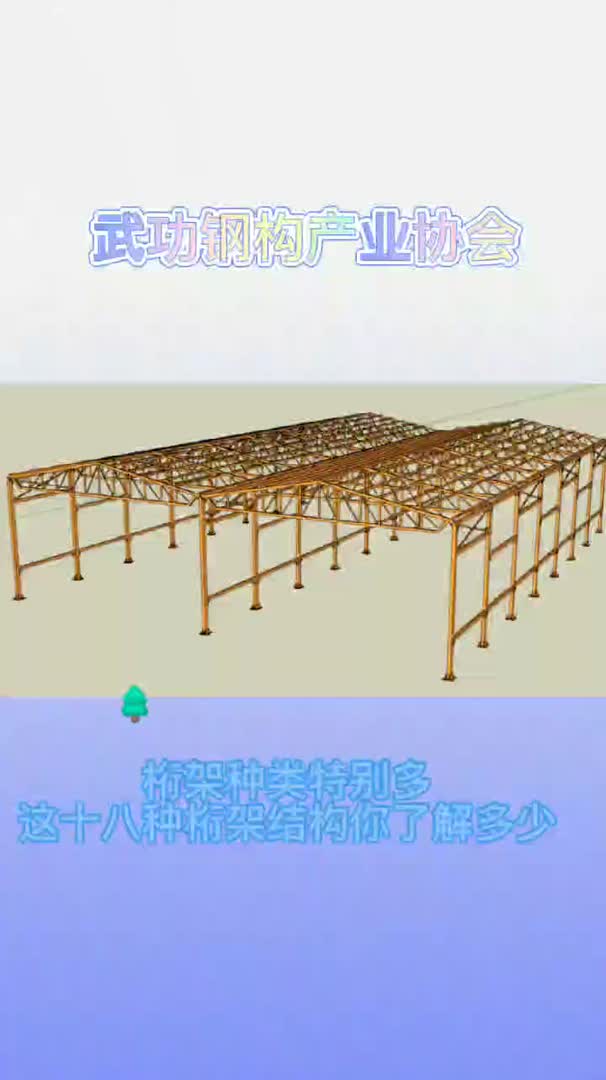 桁架结构的十八种分类.mp4